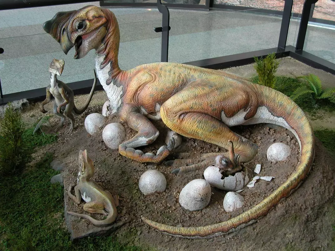 Oviraptorid Dinosuar med egg og unge
