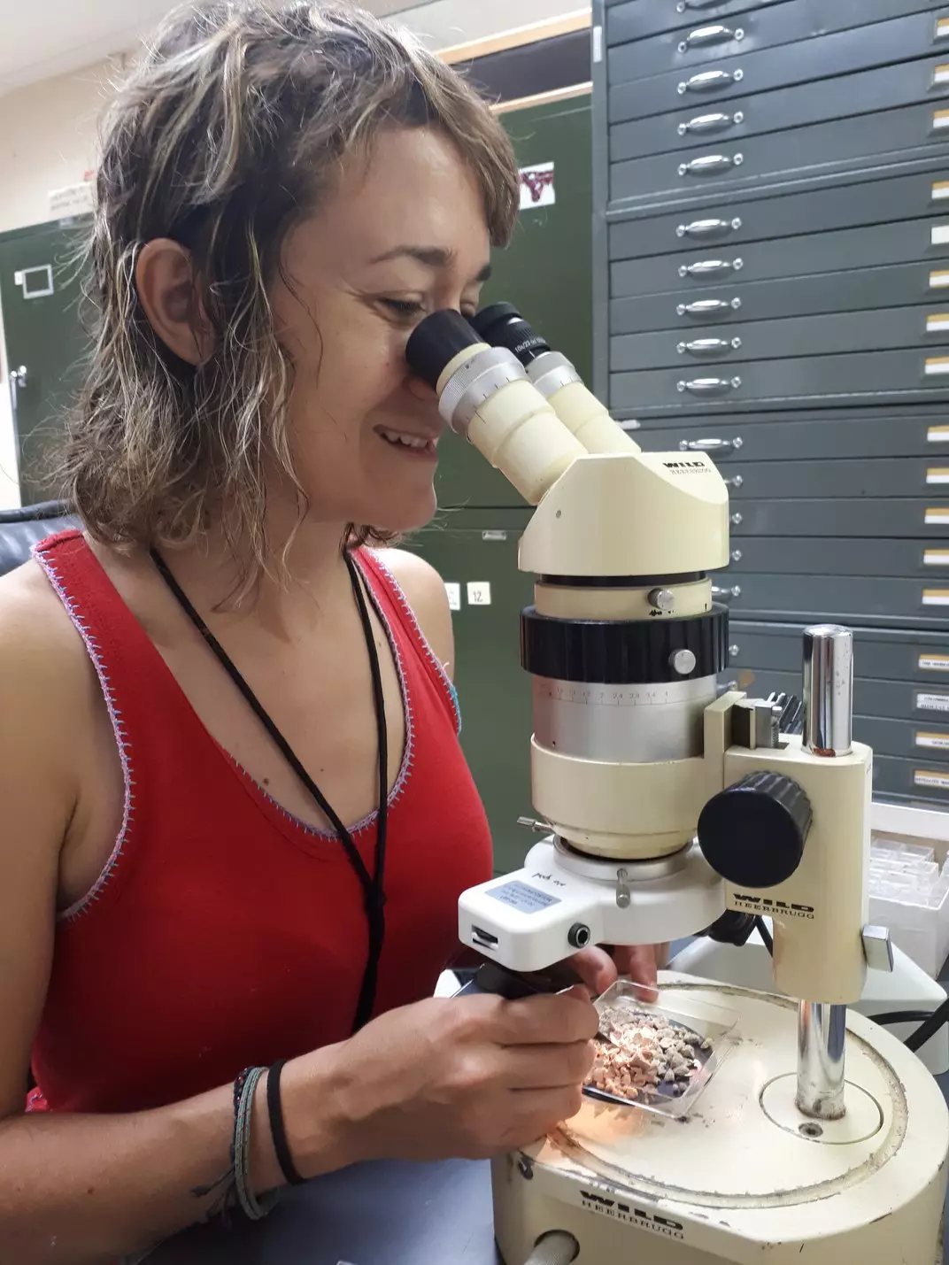 I-Blanca Figuerola_microscope