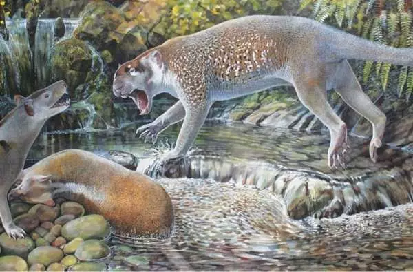 León marsupial