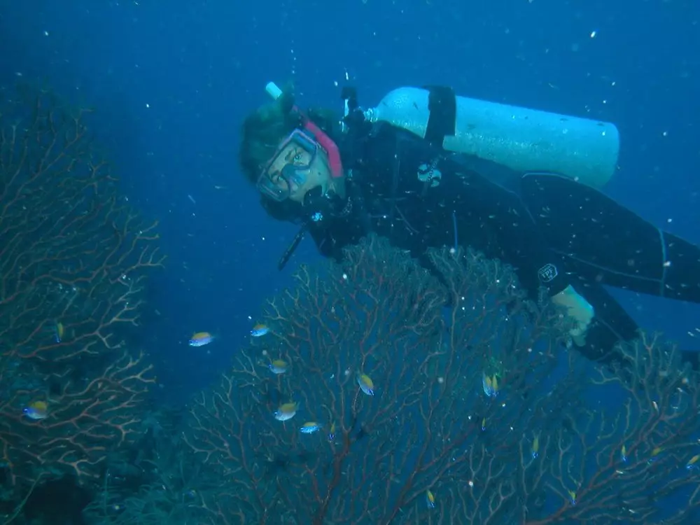Tutvuge mereteadlasega, kes uurib, kuidas vetikad suhtlevad