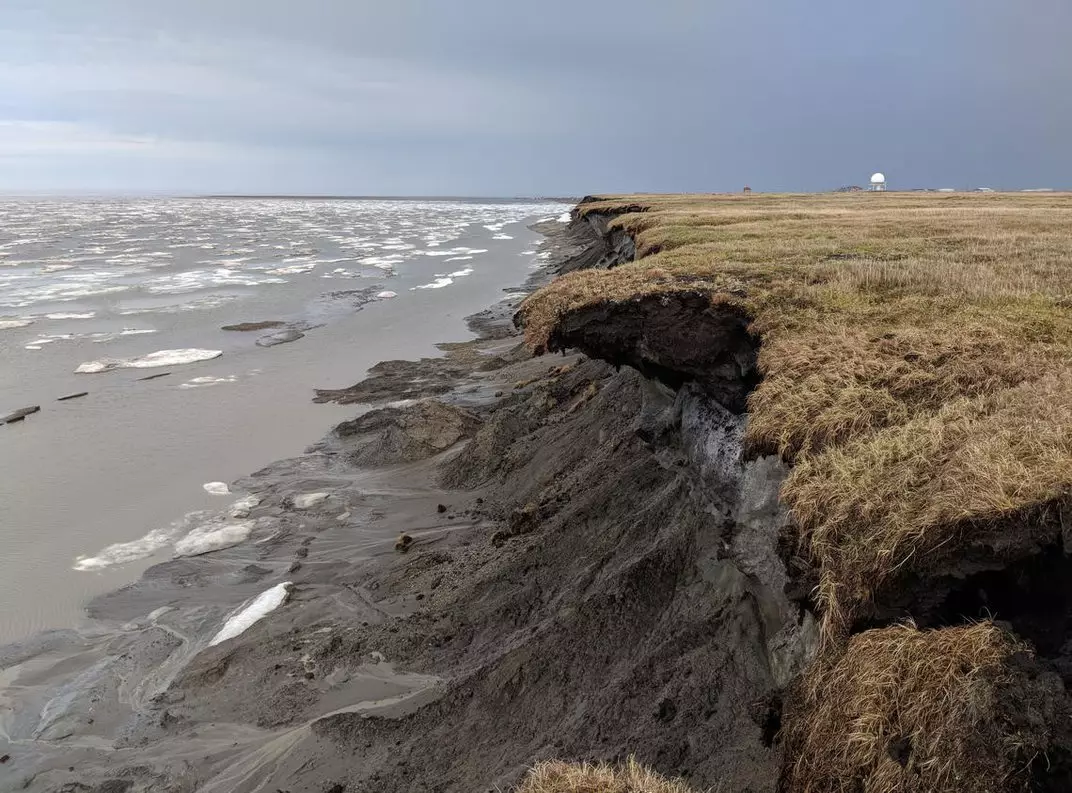 Frosset klippe ved havet i Arktis