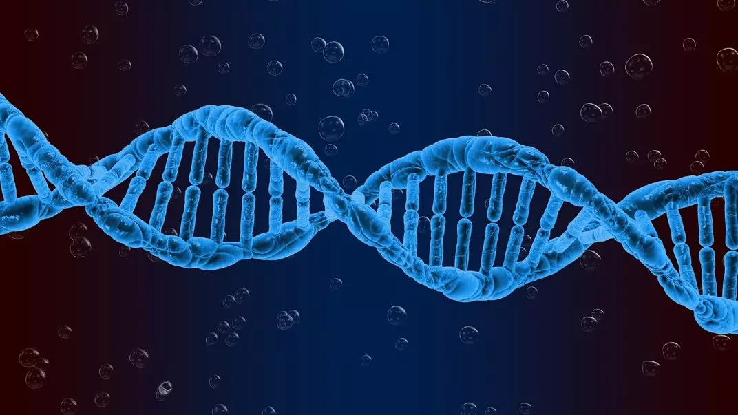 Cifereca dezajno de blua duobla helico DNA-fadeno ĉirkaŭita de klaraj vezikoj.