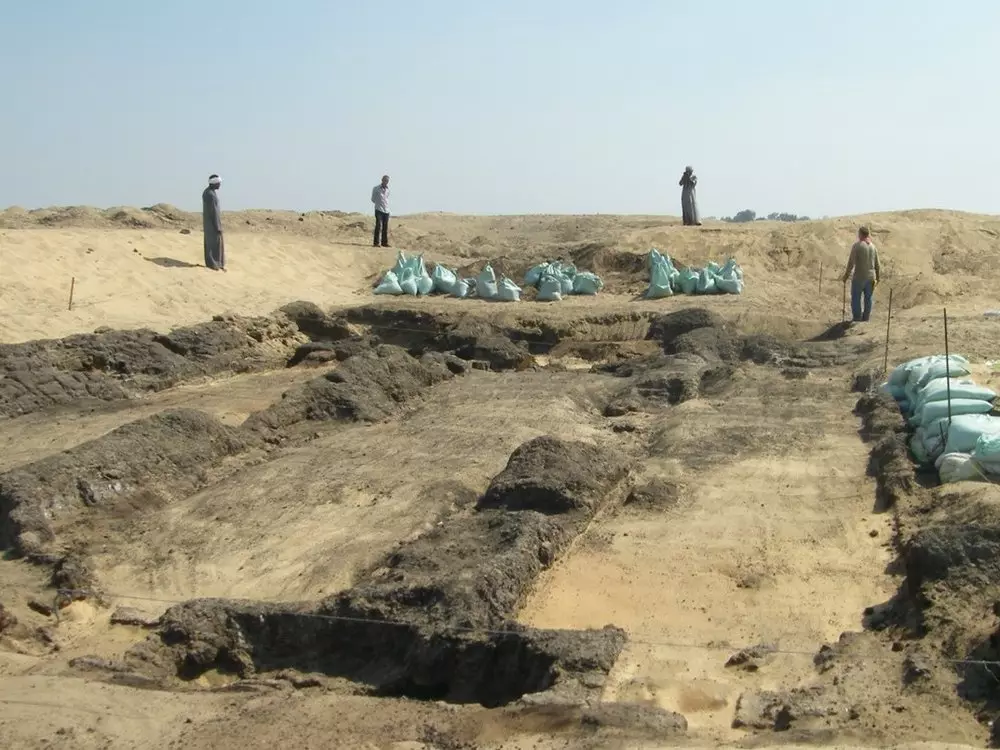 Otkriće mumificirane rovke otkriva vlažniju klimu u starom Egiptu