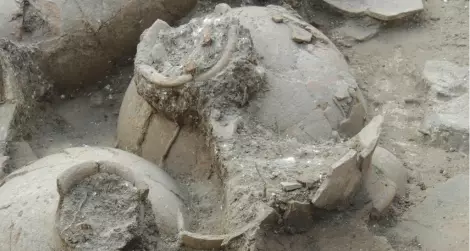 Archeologists Discovered a Stash of 3,700-Year-Old Psychotropic Wine