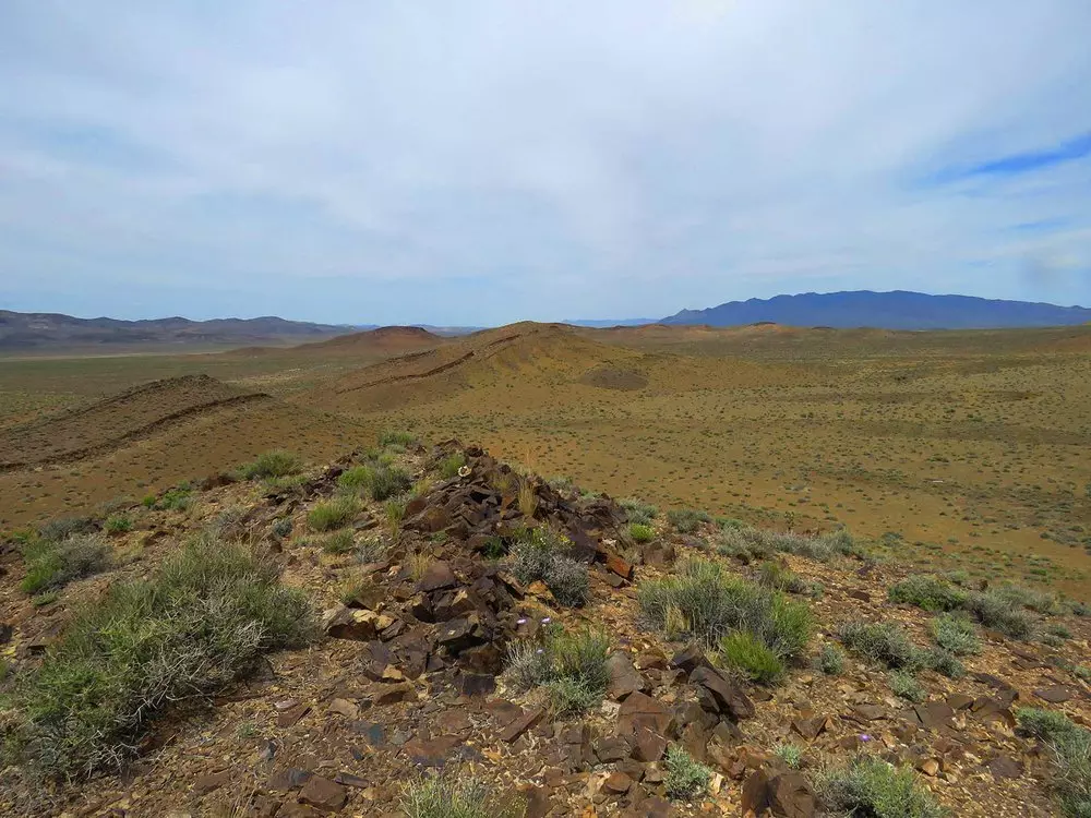 В горах Невады можно найти окаменелости одного из первых в мире рифов