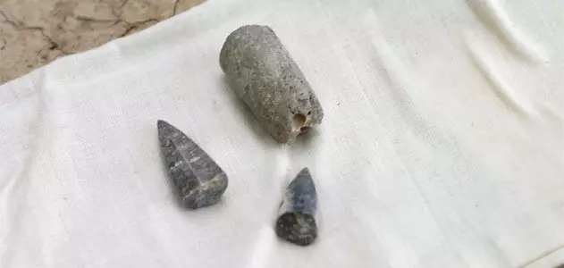 Fósiles de belemnita encontrados durante el primer día en el campo
