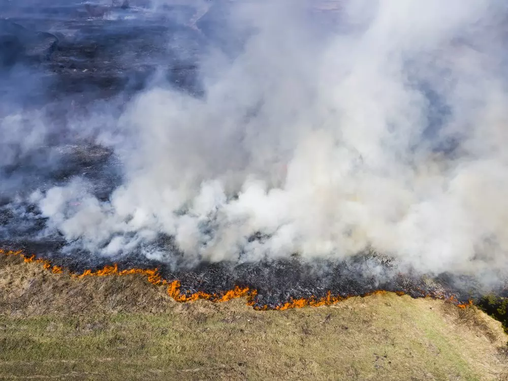’n Veldbrand met baie rook brand oor ’n grasveld in Rusland
