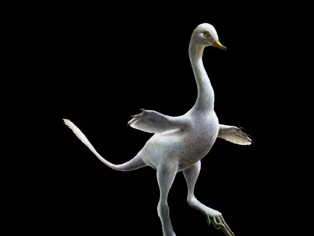 Dinossauro de natação recém-descoberto é deliciosamente bizarro