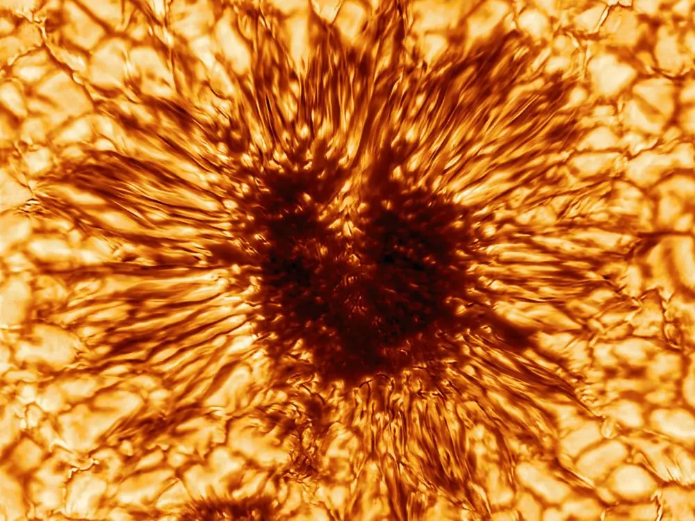 Фотография солнечного пятна имеет темный центр в форме сердца и темные усики, которые расширяются в ярко-оранжевую и желтую поверхность Солнца.