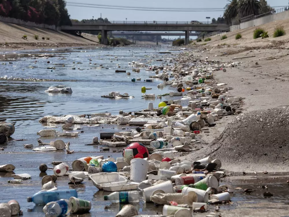 પ્લાસ્ટિક-ડિગ્રેડિંગ એન્ઝાઇમ્સ પ્રદૂષણના પ્રતિભાવમાં વધી શકે છે