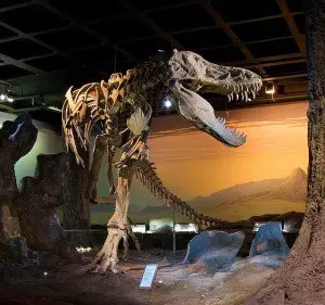 الديناصور هيكل عظمي 300x281.jpg