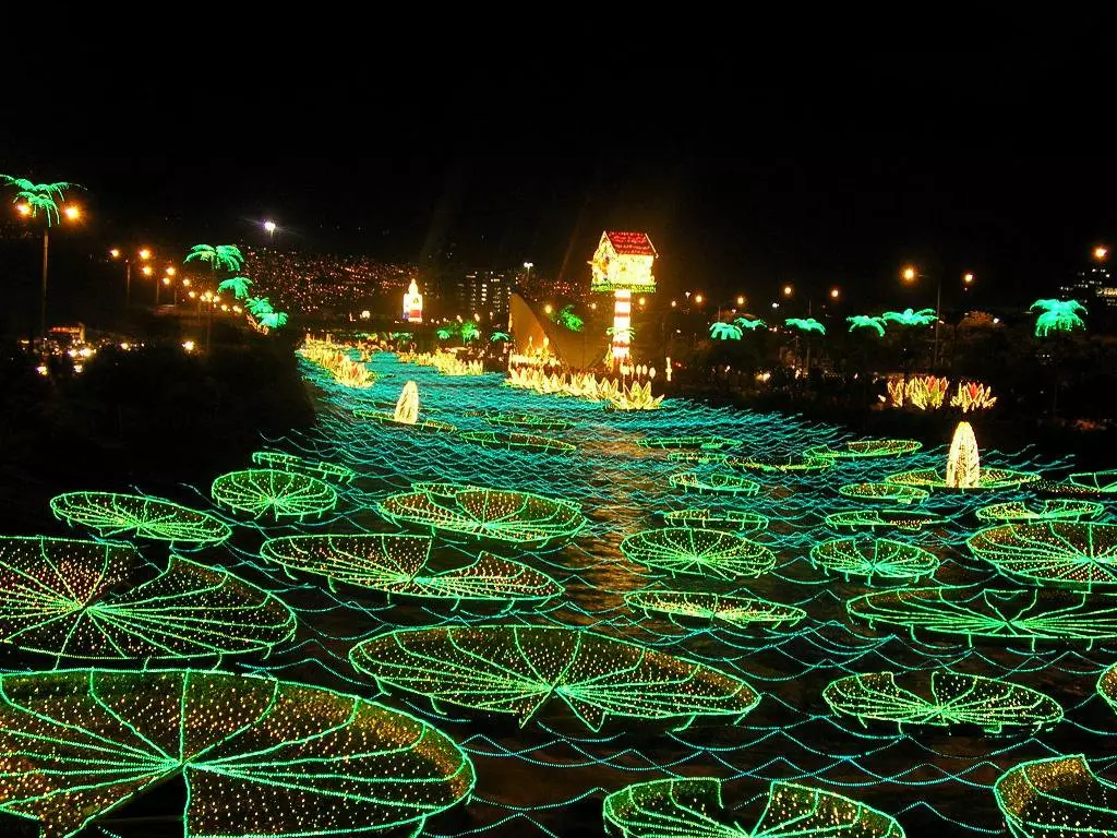 Kolumbija začenja božično sezono s temi čudovitimi svetlobnimi zasloni 9326_7