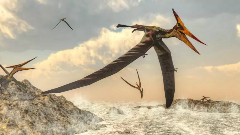 Azterketak pterosaurio hegalarien jatorri xumeak agerian uzten ditu