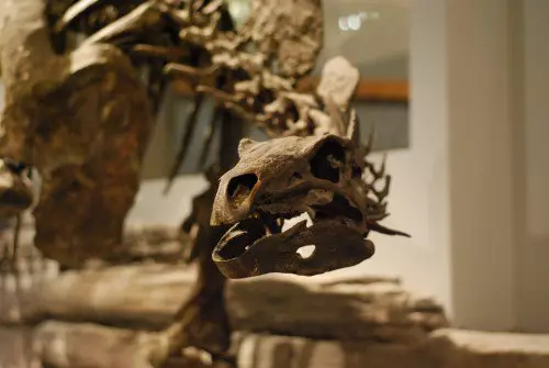 Minggu Stegosaurus: Muter Game Jeneng Stegosaur