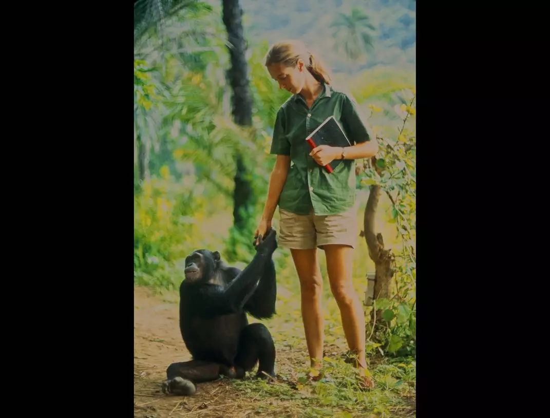 Dokumentari i ri i Jane Goodall është portreti më intim ende, thotë Jane Goodall 9520_7