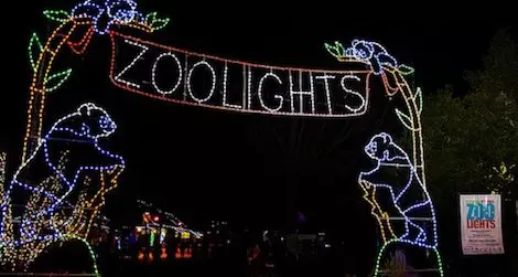 រូបថត៖ ZooLights Return for the Holidays