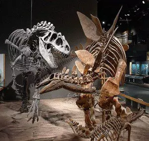 Minggu Stegosaurus: Gigitan Lemah Stegosaurus
