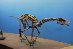 Dinosaur Treasures på Utah Museum of Natural History