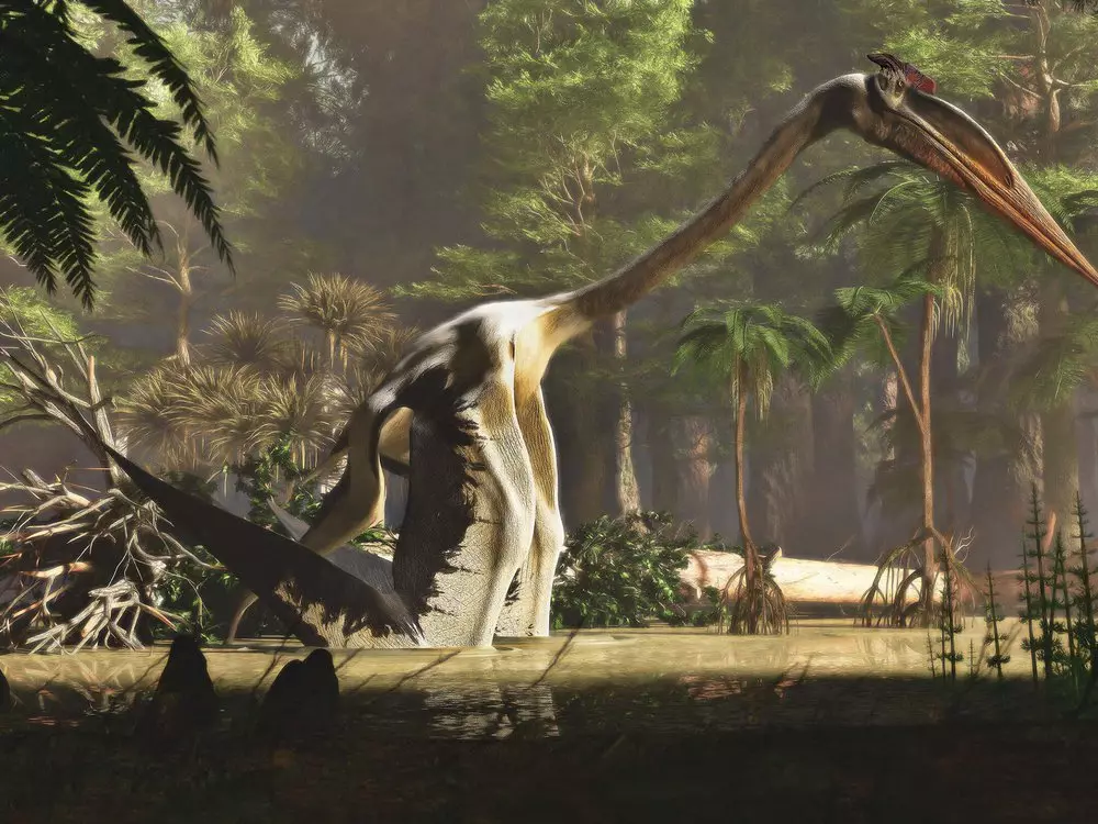 Ilustracja przedstawiająca Quetzalcoatlusa idącego przez bagno otoczone bujnymi drzewami. Chodzi na czworakach ze skrzydłami nietoperza na przednich nogach; ma kształt żyrafy z małym brzuchem i długą szyją. Ma ogromną głowę i masywny, spiczasty dziób
