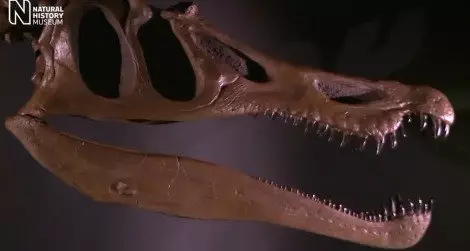 Hvordan Baryonyx forårsagede den store spinosaur-makeover