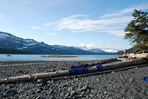 Kajakfahren in Alaska im Schatten von Exxon Valdez 9783_4