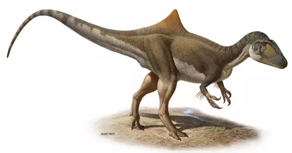 Egy furcsa vitorlás hátú, sörtéjű karú dinoszaurusz