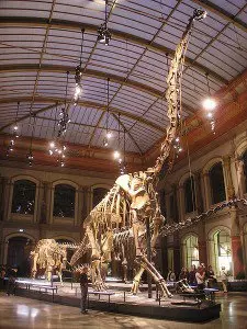 20110520083148Brachiosaurus-German-Museum-225x300.jpg
