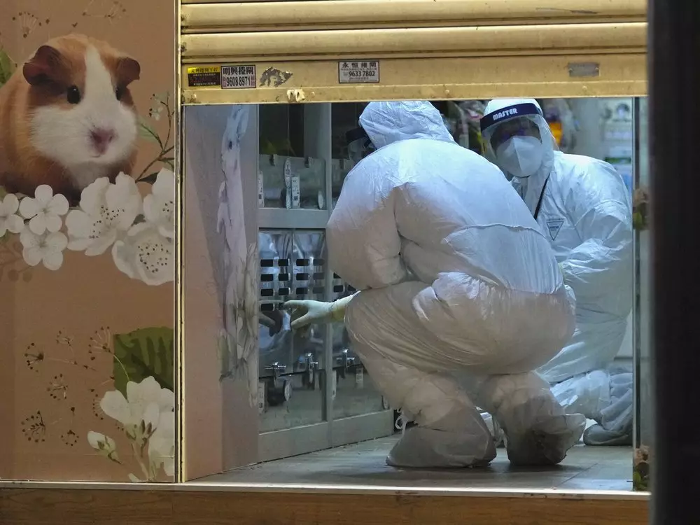 Dues persones amb vestits de material perillós s'ajupen dins d'una botiga d'animals.