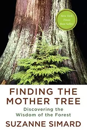 ภาพตัวอย่างขนาดย่อของ 'Find the Mother Tree: Discovering the Wisdom of the Forest