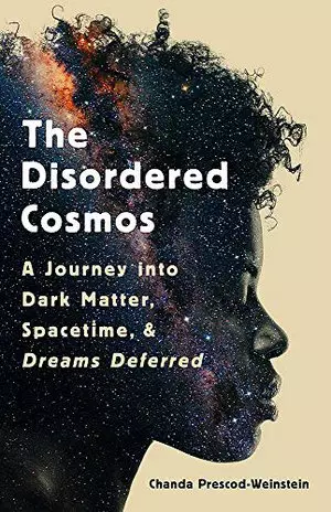 Voorskou-kleinkiekie vir 'The Disordered Cosmos: A Journey into Dark Matter, Spacetime, and Dreams Deferred