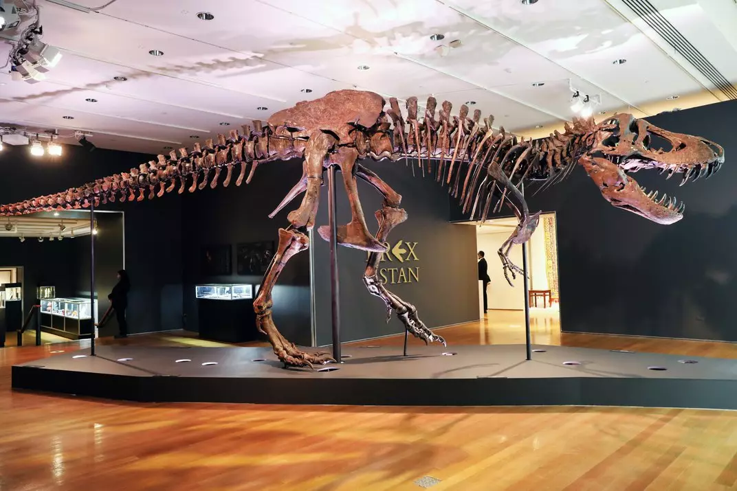 Hình ảnh mẫu vật T. rex, Stan, được trưng bày tại nhà đấu giá Christie’s ở thành phố New York.