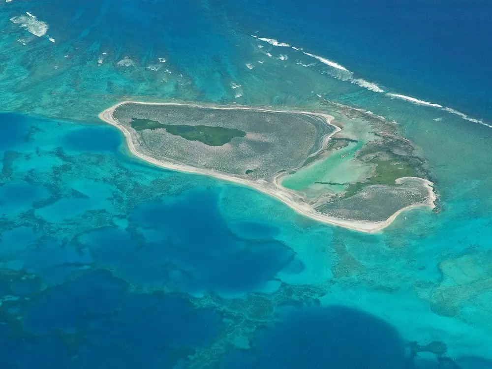 Аэрофотоснимок атолла в Тихом океане. Вода мраморно-зеленая и синяя, а посередине есть остров в форме капли. На острове есть песчаные берега с зеленью (вероятно, растениями). Внутри также есть несколько больших лагун.