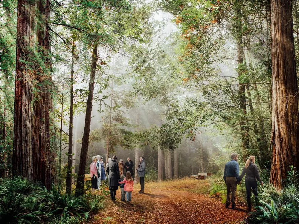 Μια startup στην Καλιφόρνια χρησιμοποιεί στάχτη για να προστατεύσει τα δάση