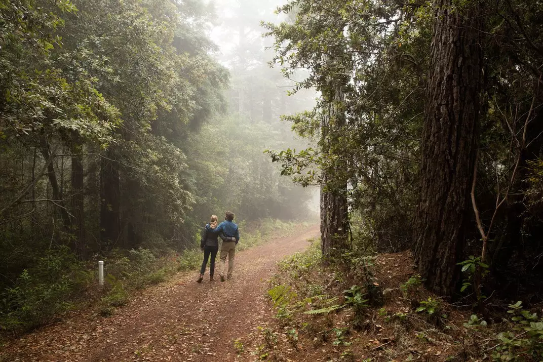סטארט-אפ מקליפורניה משתמש באפר כדי להגן על יערות 9971_3