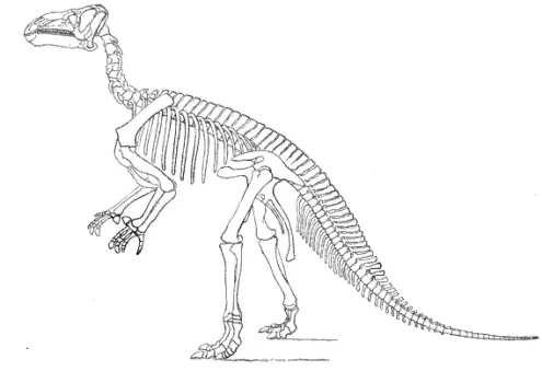 Повлекување на завесата на науката за диносаурусите